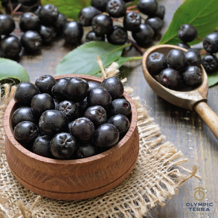 Aronia Chokeberries & Vanilla Extract Jam: Pure Luxury in a Jar